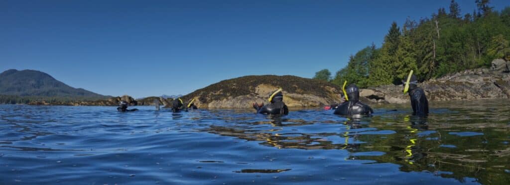 About Snorkel Alaska in Ketchikan | Our Guides & Instructors