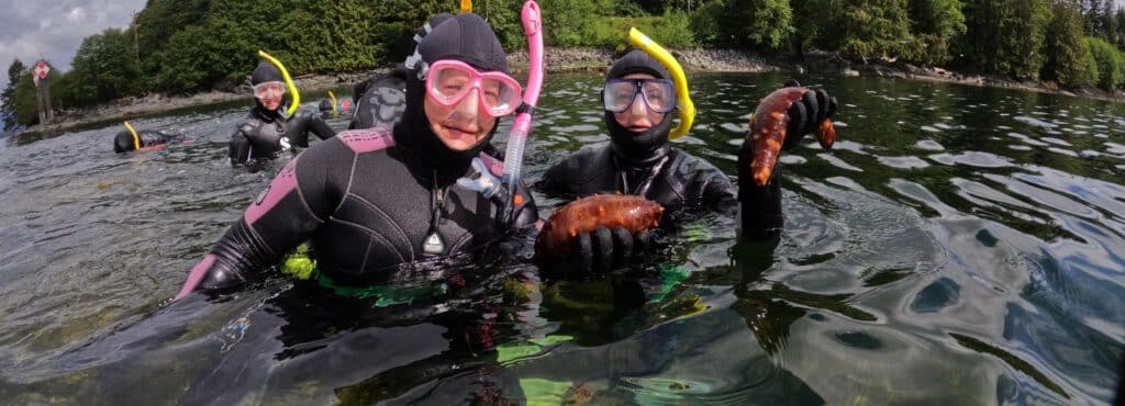 The Mountain Point Snorkeling Adventure | Snorkel Alaska